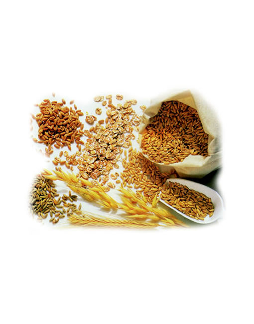 Cereali – Pascalizi Remo Srl